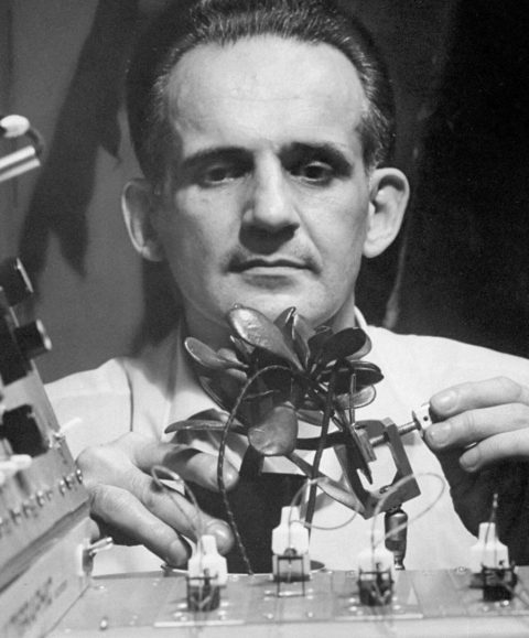 Cleve Backster, rostliny s námi komunikují – co se nevešlo do knihy ...